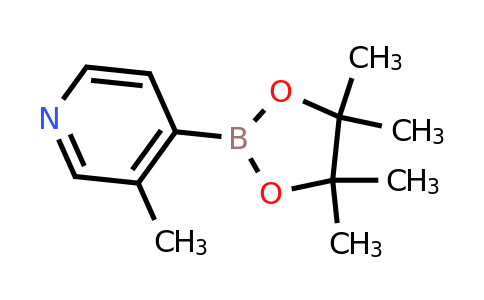 CAS 1032358-00-1 | 3-Methylpyridine-4-boronic acid pinacol ester - Synblock