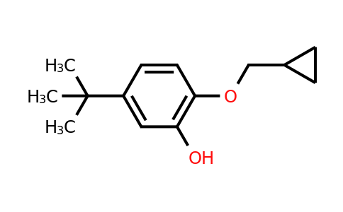 CAS 1243279-39-1 | 5-Tert-butyl-2-(cyclopropylmethoxy)phenol - Synblock
