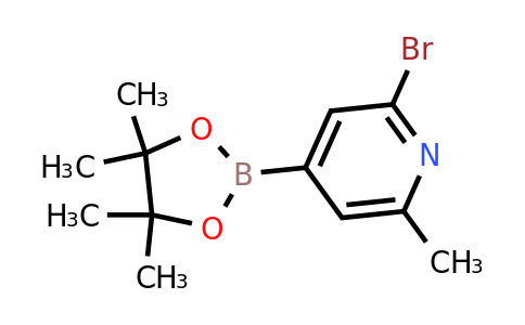 CAS 1321518-06-2 | 2-Bromo-6-methyl-4-(4,4,5,5-tetramethyl-1,3,2-dioxaborolan-2-YL)pyridine ...