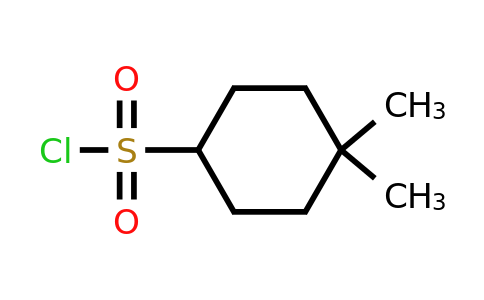 CAS 1344070-27-4 | 4,4-dimethylcyclohexane-1-sulfonyl chloride - Synblock