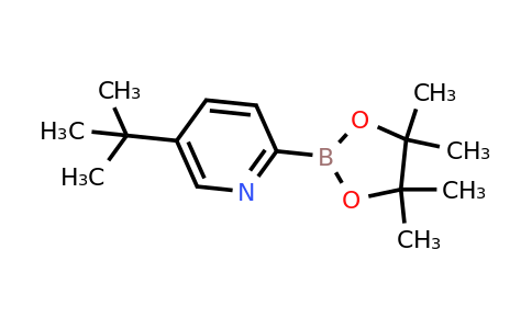 CAS 2223040-41-1 | 5-(Tert-butyl)pyridine-2-boronic acid pinacol ester ...