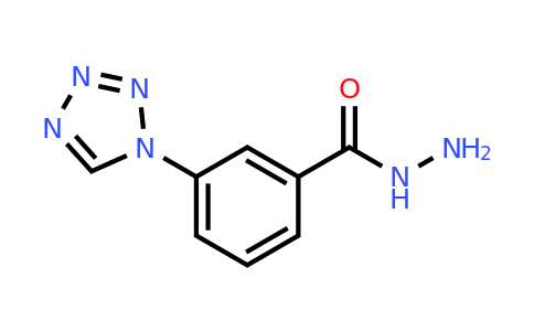 CAS 351994-81-5 | 3-(1H-Tetrazol-1-yl)benzohydrazide - Synblock