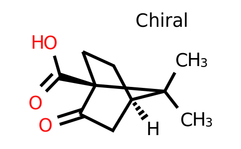 CAS 40724-67-2 | (S)-(+)-Ketopinic Acid - Synblock