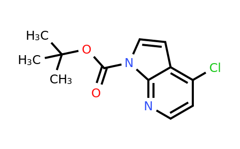 CAS 945599-50-8 | 1-BOC-4-Chloro-7-azaindole - Synblock
