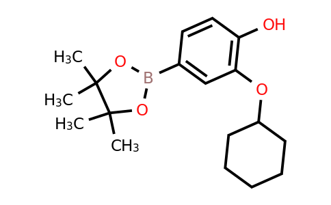2-(Cyclohexyloxy)-4-(4,4,5,5-tetramethyl-1,3,2-dioxaborolan-2-YL)phenol ...